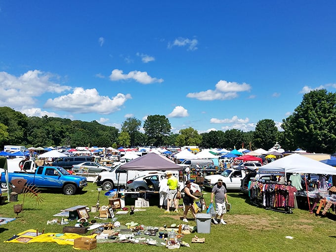 The thrill of the hunt! Shoppers weave between vehicles and tents at Elephant's Trunk, where Connecticut's largest outdoor treasure hunt unfolds every Sunday.
