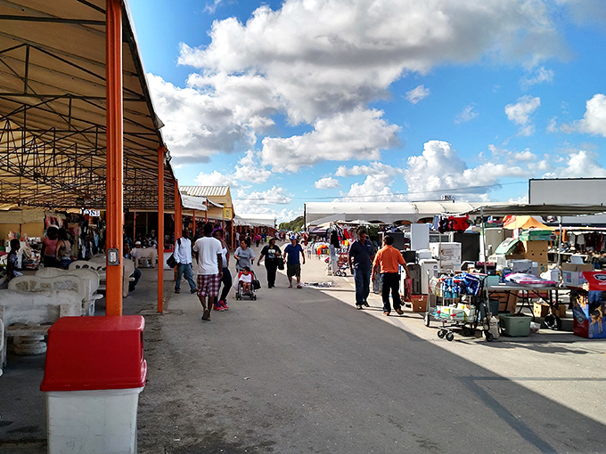 Open-air bargain hunting meets Florida sunshine in this sprawling marketplace where deals bloom like spring flowers.