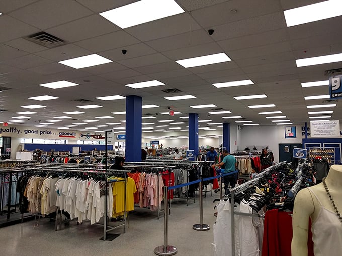 Color-coded clothing paradise! Like walking through a fashionable rainbow where everything costs less than lunch.