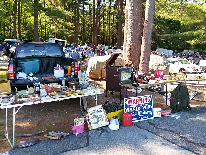 The thrill of the hunt! Vintage signs and forgotten treasures await among the pines at Grafton's weekend wonderland.