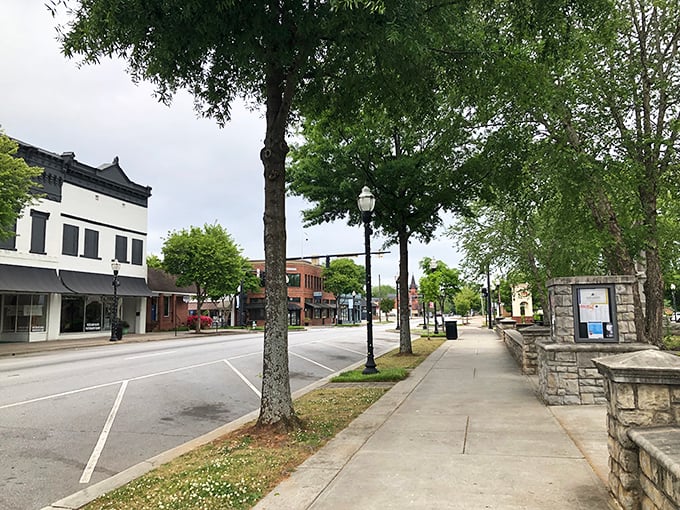 Stroll-friendly sidewalks and leafy streets make Hartwell's downtown feel like a Norman Rockwell painting where your Social Security check goes further.