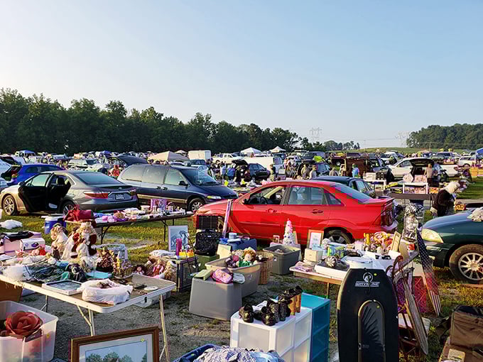Treasure hunting in action! Cars and tables stretch to the horizon at Jake's, where one person's castoffs become another's gold.