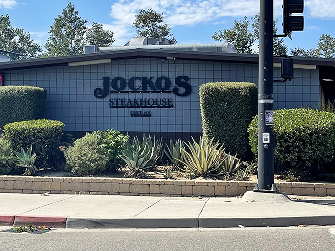 Blue tiles and a simple sign &ndash; Jocko's modest facade is the culinary equivalent of Clark Kent's glasses hiding Superman.