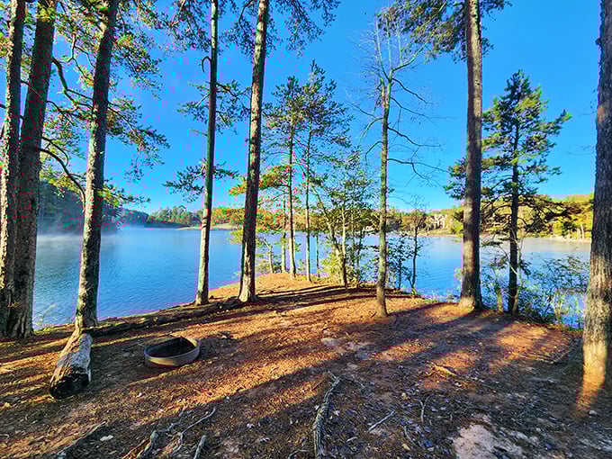 Morning at Keowee-Toxaway: where pine trees stand like sentinels and coffee tastes better with a view.