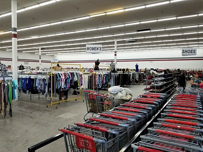 Shopping carts lined up and ready for action &ndash; you'll need one for all the bargains waiting in this thrifter's wonderland.