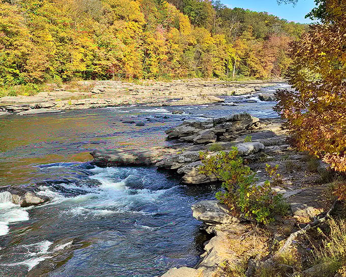 Nature's own whitewater playground! Fall foliage creates a backdrop that makes those rushing rapids even more dramatic.