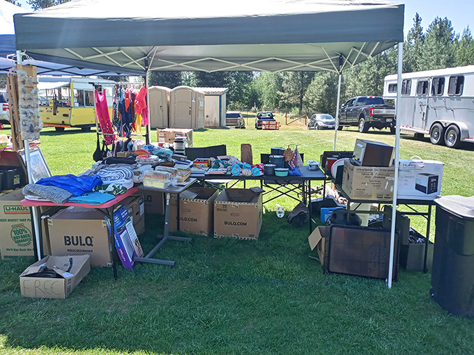 The thrill of the hunt under blue canopies. Every box might contain that perfect something you didn't know you needed.