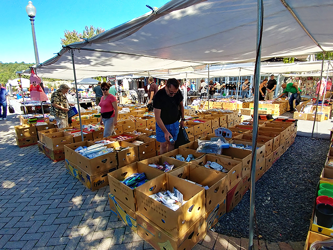 Treasure hunters paradise! Rows of cardboard boxes holding someone else's memories, waiting to become yours.