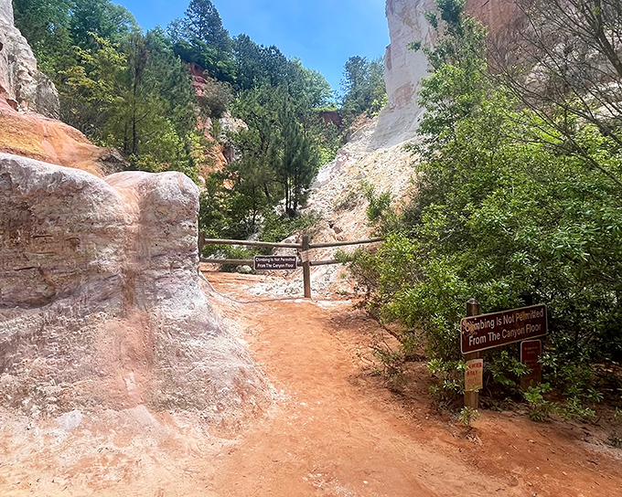 The "Little Grand Canyon" trail winds between towering walls of red clay &ndash; Mother Nature's art gallery without the admission fee.