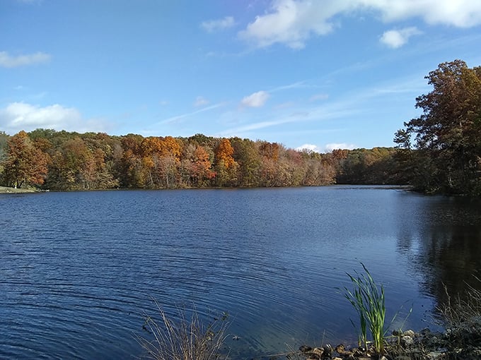 Nature's mirror show! Fall colors frame this tranquil lake at Red Hills, creating a peaceful escape that feels miles from everyday worries.