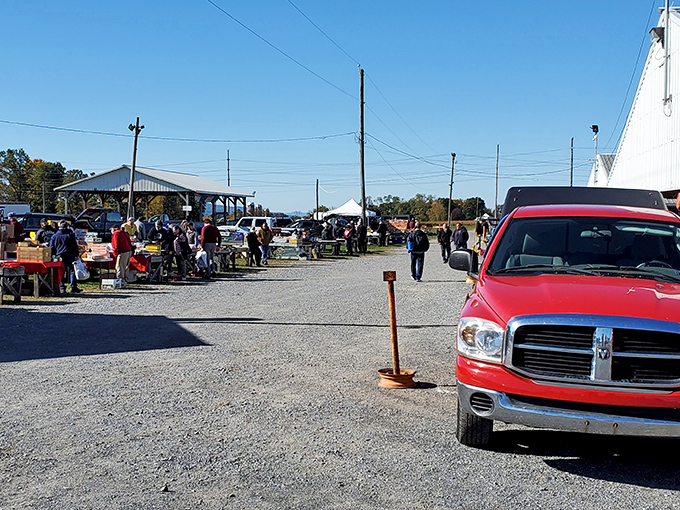 Weekend warriors unite! Renninger's outdoor market area buzzes with activity as shoppers hunt for hidden gems on a perfect day.