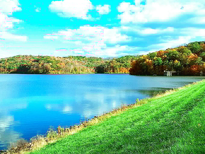 Salt Fork State Park: "Nature's mirror at work. Fall colors double their impact when reflected in waters so still you could skip a stone to Canada."