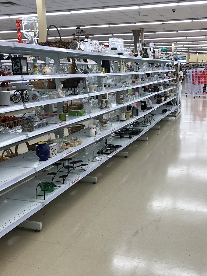 Shelves lined with glassware treasures at Savers. One person's forgotten vase is another's perfect centerpiece!