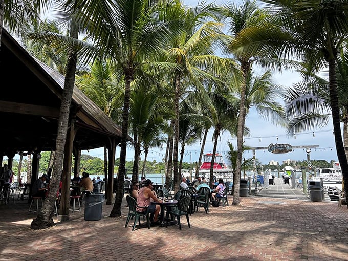 Waterfront bliss with palm trees standing guard. This is where "just one more drink" becomes the day's best decision.