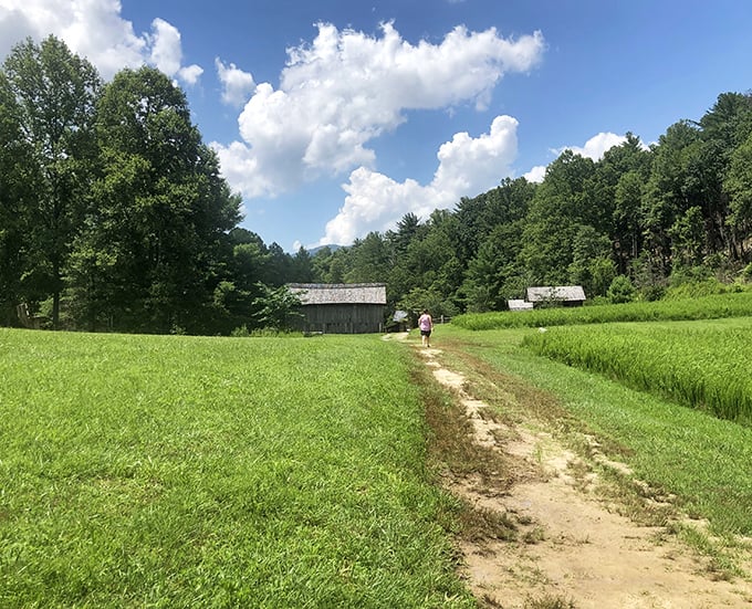 Historic mountain homesteads nestled in green valleys. Time travel without the complicated physics!