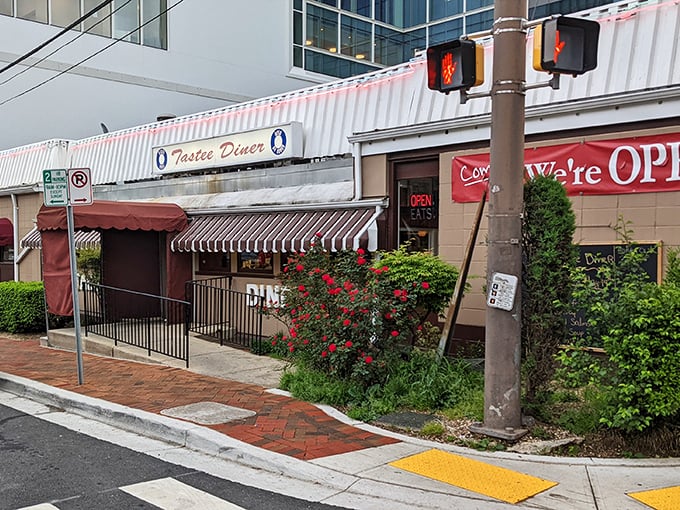 Tastee Diner (Bethesda): That "We're OPEN" sign might as well say "Salvation Ahead" when you're hungry at hours no restaurant should reasonably accommodate.