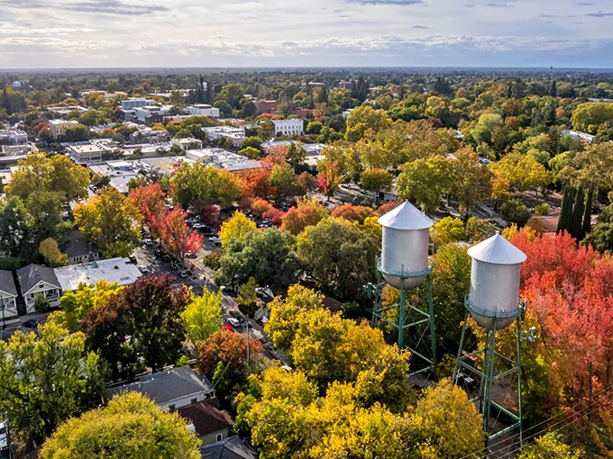 Fall paints Chico in a kaleidoscope of colors, with iconic water towers punctuating a canopy that would make Vermont jealous.