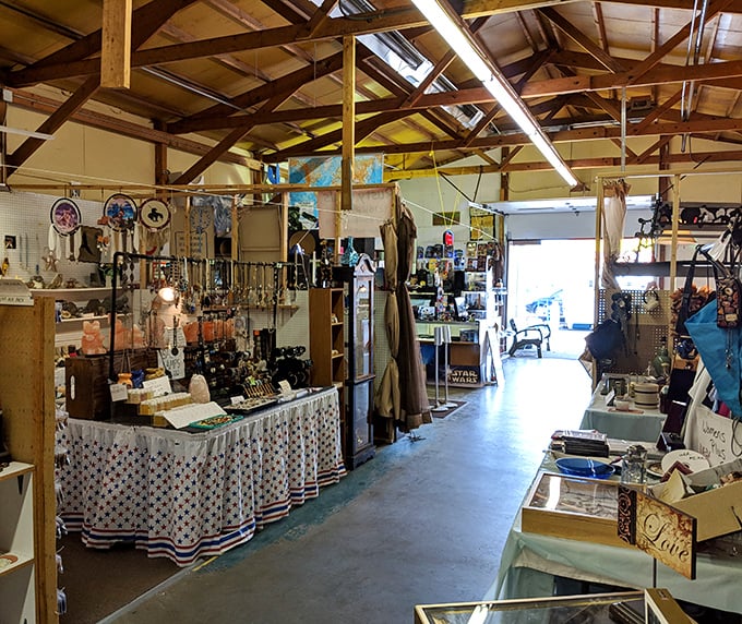 Endless possibilities stretch down this aisle, where one person's forgotten items become another's prized discoveries.