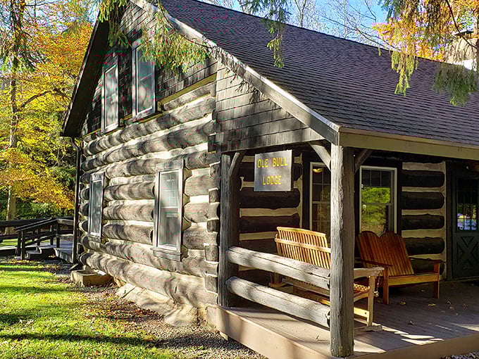 The Ole Bull Lodge stands as a rustic time capsule, its weathered logs and welcoming porch practically begging you to sit a spell and forget your inbox exists.