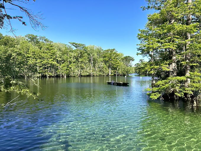 Where the forest meets fantasy. The spring's crystal waters create a perfect mirror, reflecting the lush greenery in high-definition clarity.