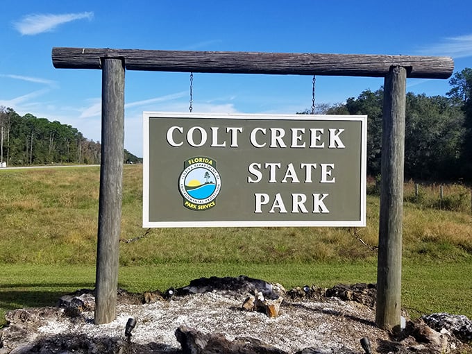 The gateway to 5,000 acres of Old Florida magic. This unassuming sign marks the threshold between everyday life and wilderness adventure.
