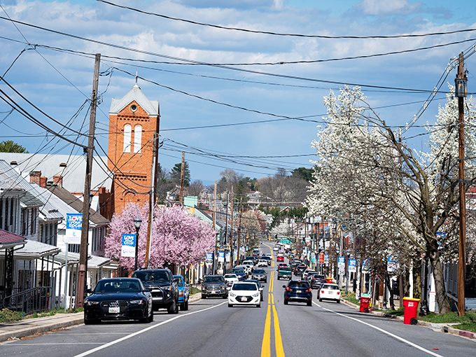 Spring in Boonsboro transforms Main Street into nature's confetti celebration, with cherry blossoms framing the historic brick church tower.