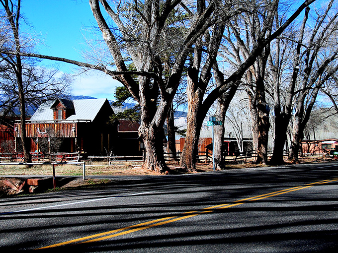 Winter's bare branches frame rustic buildings with quiet dignity. These weathered sentinels have witnessed generations of Torrey life unfolding beneath them.