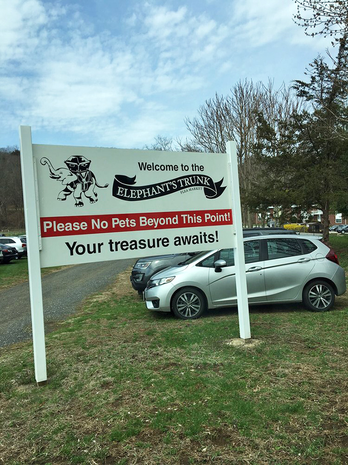 "Your treasure awaits!" promises the welcoming sign, and in my experience, the Elephant's Trunk rarely breaks a promise.