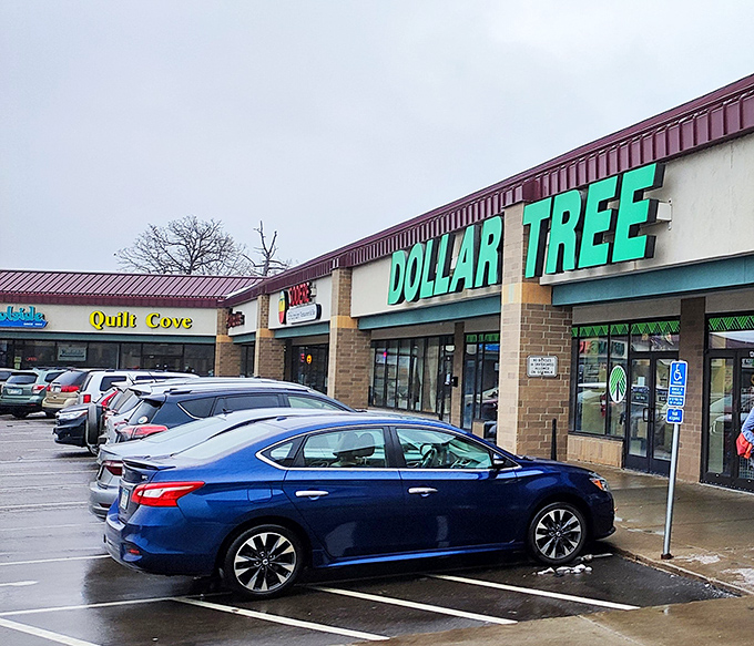 Strip mall chic at its finest! Nestled between other businesses, this Dollar Tree's modest exterior belies the wonderland of deals waiting inside.