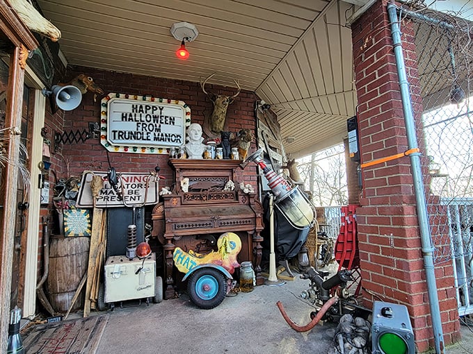 Every great adventure begins with a first step—or in this case, a porch that looks like Halloween decided to take up permanent residence.