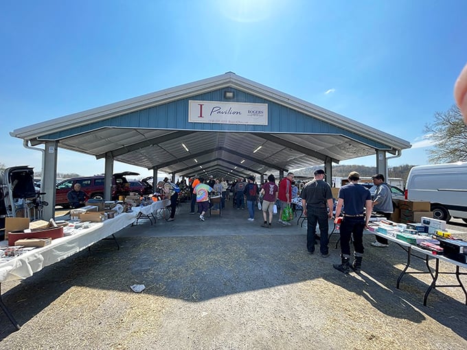 Pavilion I stands as a gateway to possibility, where shoppers clutching green bags have already struck gold. The thrill of the hunt begins under this blue-topped canopy.