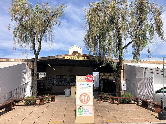 Desert willows frame the gateway to treasure hunting, where "Entrance" isn't just a sign—it's an invitation to discovery.