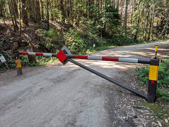The gatekeeper to wonderland. This unassuming barrier protects one of California's most magnificent natural treasures from becoming too loved.