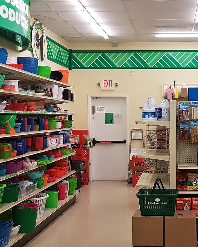 Where rainbow-colored storage solutions line up like soldiers ready for duty. The humble exit door leads to a world where organization doesn't require a second mortgage.