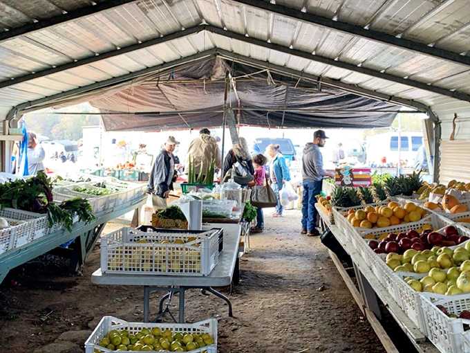 Farm-fresh bounty that puts grocery stores to shame. These vibrant fruits and vegetables traveled miles, not continents, to reach your shopping bag.