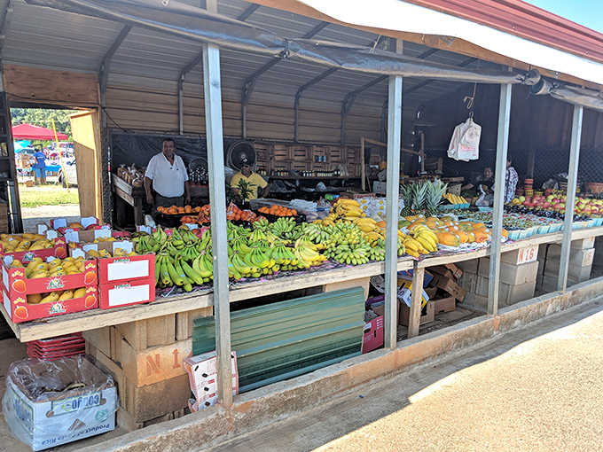 Nature's color palette on full display! These farm-fresh fruits aren't just photogenic&mdash;they're the difference between a grocery store tomato and one that actually tastes like summer.