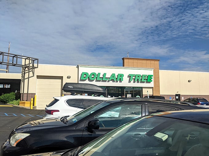 Where luxury SUVs and modest sedans share the same parking lot, united by the universal language of bargain hunting.