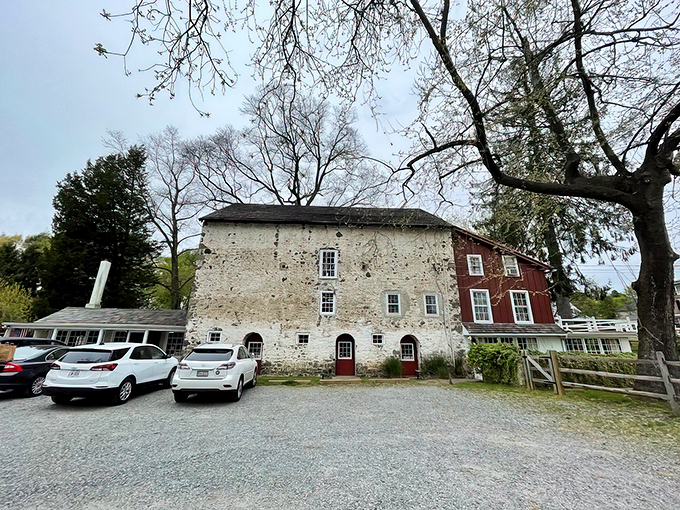 The weathered stone exterior stands like a literary fortress. This isn't just a bookstore&mdash;it's a temple to the written word.