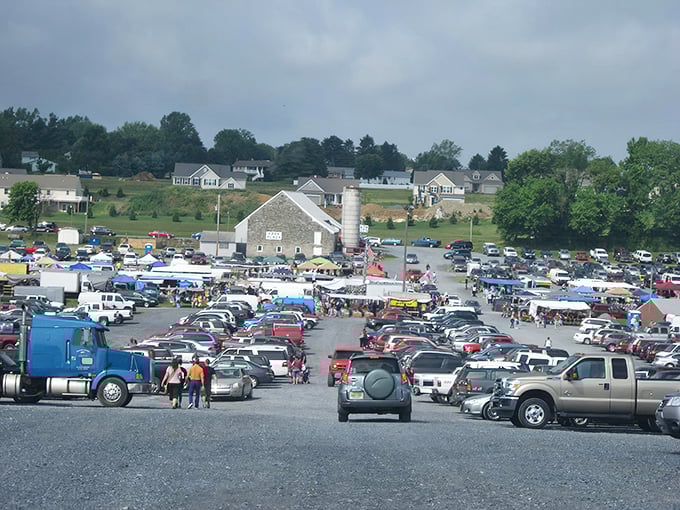 From this bird's eye view, you can practically hear the symphony of car doors slamming as eager shoppers arrive for their Friday morning ritual.