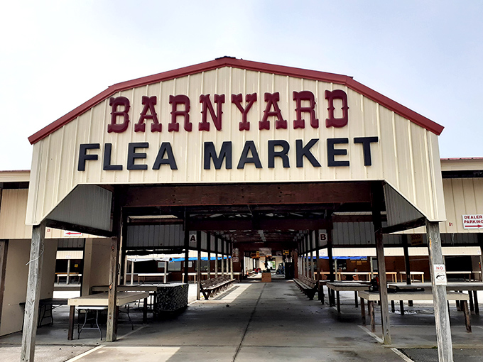 Early morning at the Barnyard reveals the calm before the bargain-hunting storm, with empty tables soon to be transformed into displays of possibility.