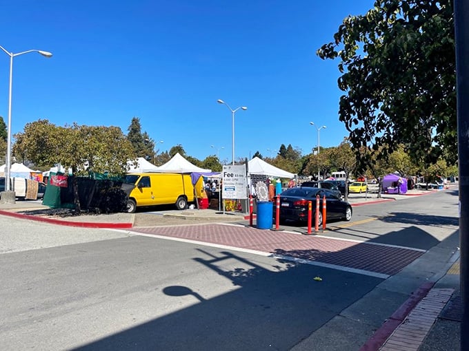 Blue skies and bargain hunting go hand in hand at the Berkeley Flea Market entrance, where adventure awaits just beyond those yellow vans and white canopies.