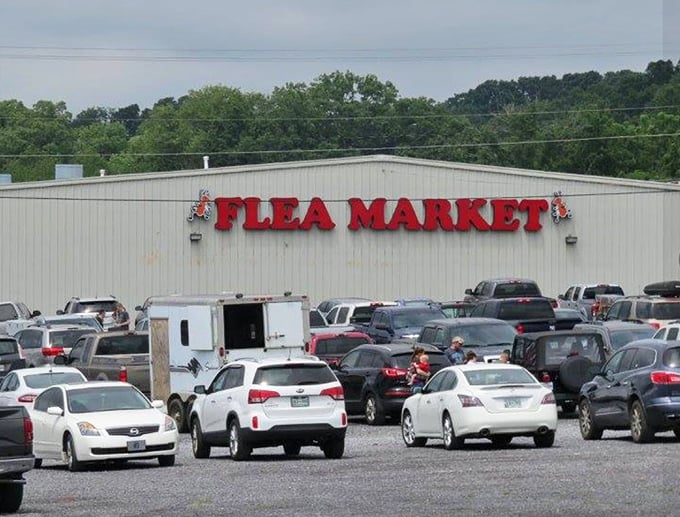 That iconic red sign beckons bargain hunters like a retail lighthouse. The packed parking lot tells you everything&mdash;this isn't just shopping, it's an event.