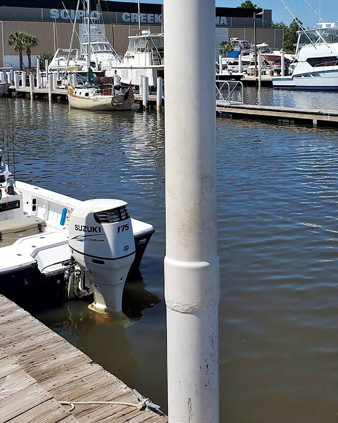 At Scipio Creek Marina, boats bob gently in their slips &ndash; a nautical neighborhood where seafood begins its journey from Gulf to plate.