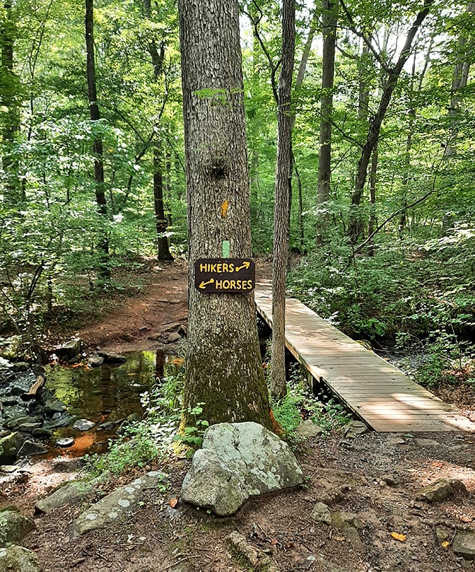 Trail democracy in action &ndash; hikers go right, horses left. The wooden bridge promises adventure without the soggy socks tax.