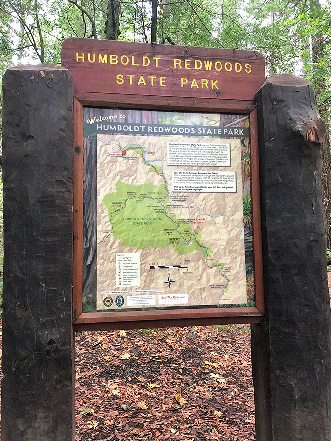 Even the welcome signs here have to crane their necks to see the tops of these giants.