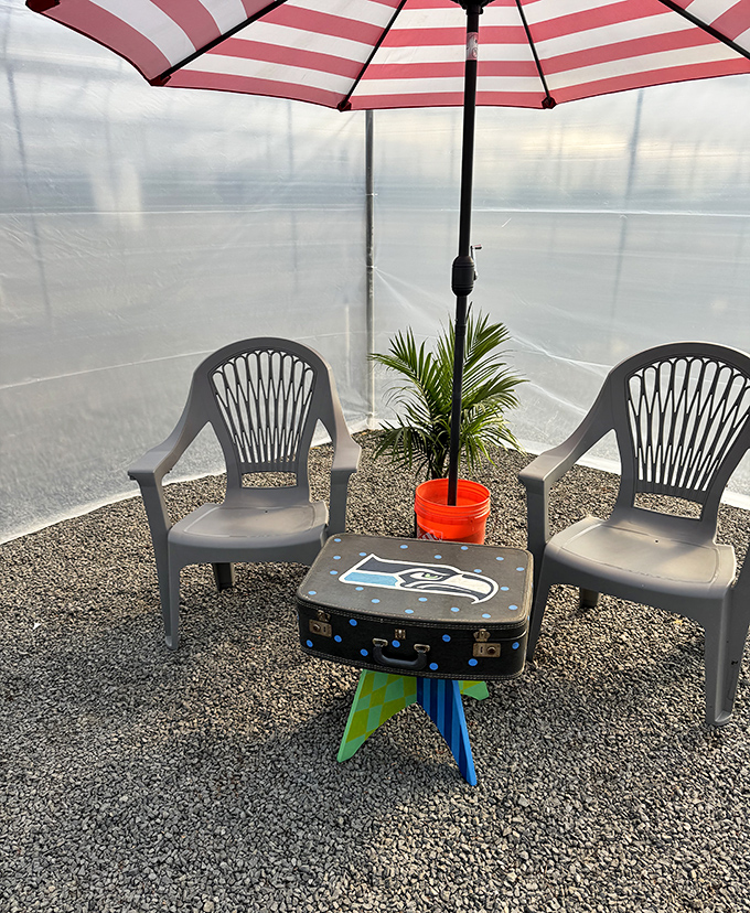Plastic chairs and a striped umbrella create an impromptu VIP section. The Seattle Seahawks suitcase table proves great food needs no marble countertops.