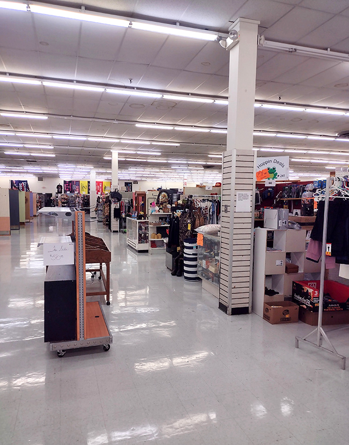 Aisles that seem to stretch into infinity, each turn promising new discoveries. Indiana Jones never had a treasure map this exciting.