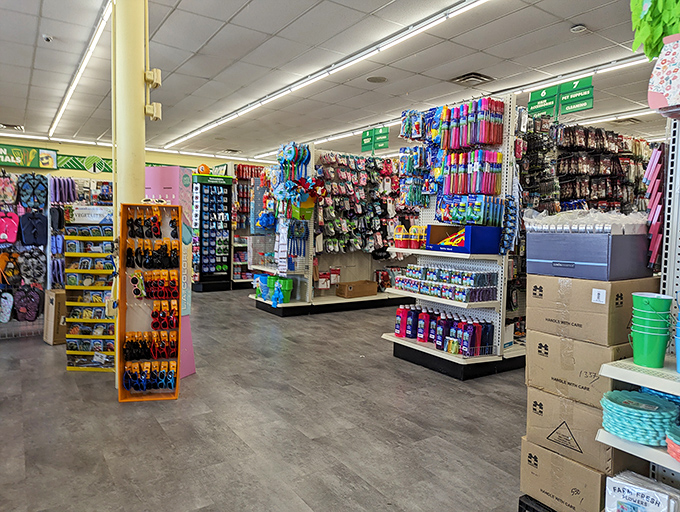 Aisles of possibility stretch before you like the yellow brick road, except everything here costs less than Dorothy's ruby slippers