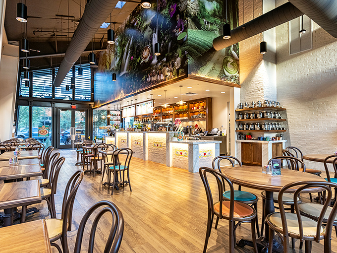 Bentwood chairs and warm wood floors create a sanctuary where conversations flow as freely as the coffee.