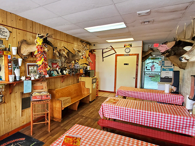 Step inside and you're greeted by wood-paneled walls, mounted trophies, and the promise of authentic Florida barbecue culture. No interior designer needed when you've got character this genuine.